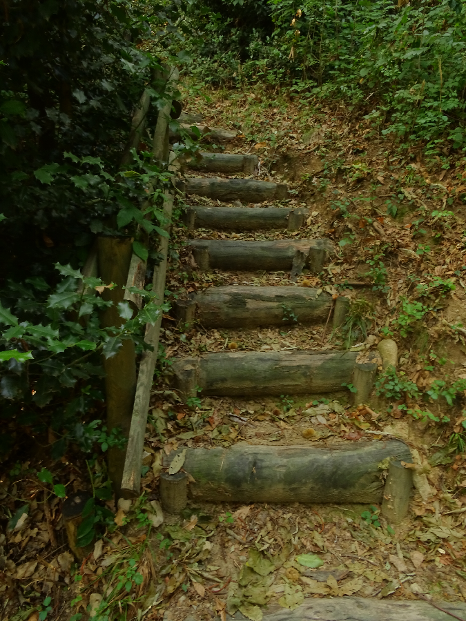 steps | The Como Companion